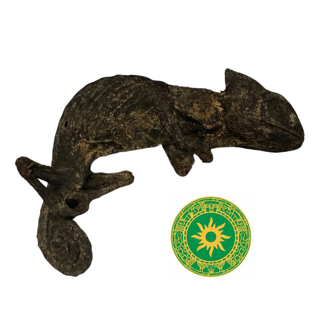Agemo / Alagemo (Lagartija Africana) para Ifá Tradicional y Ebbó ...