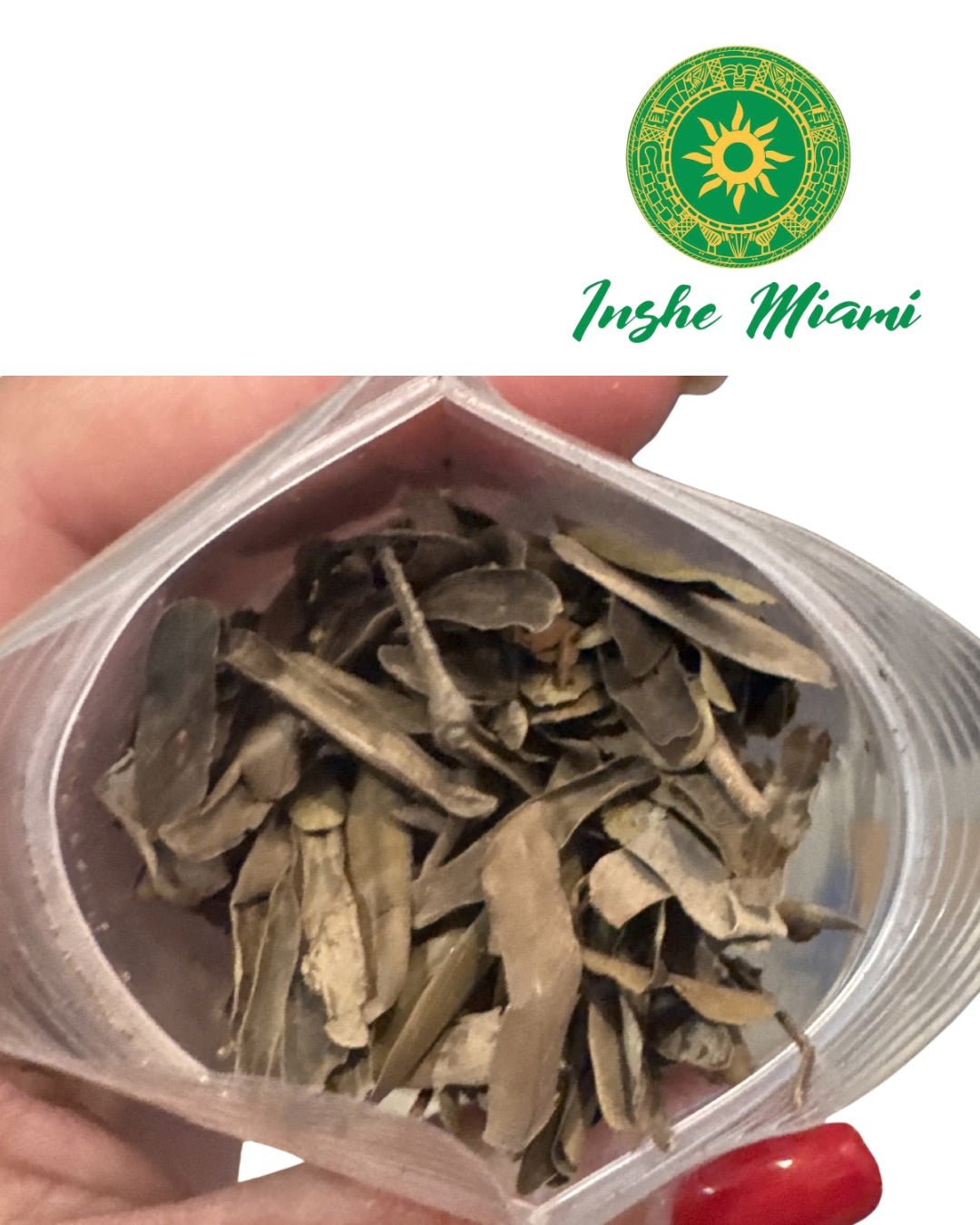 Ewe Igba Igbo – INSHEMIAMI
