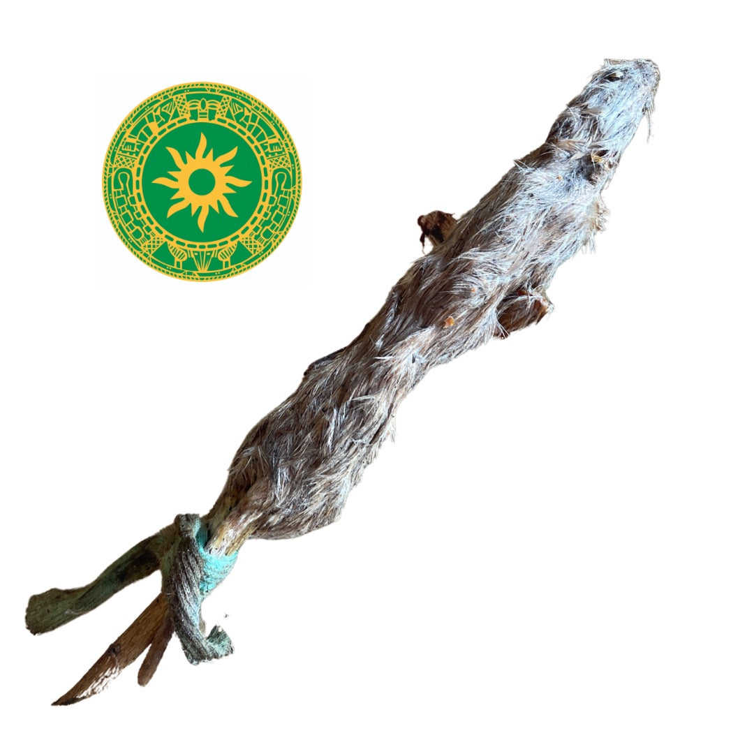 Eku Ifa / Rata Pequeña – INSHEMIAMI